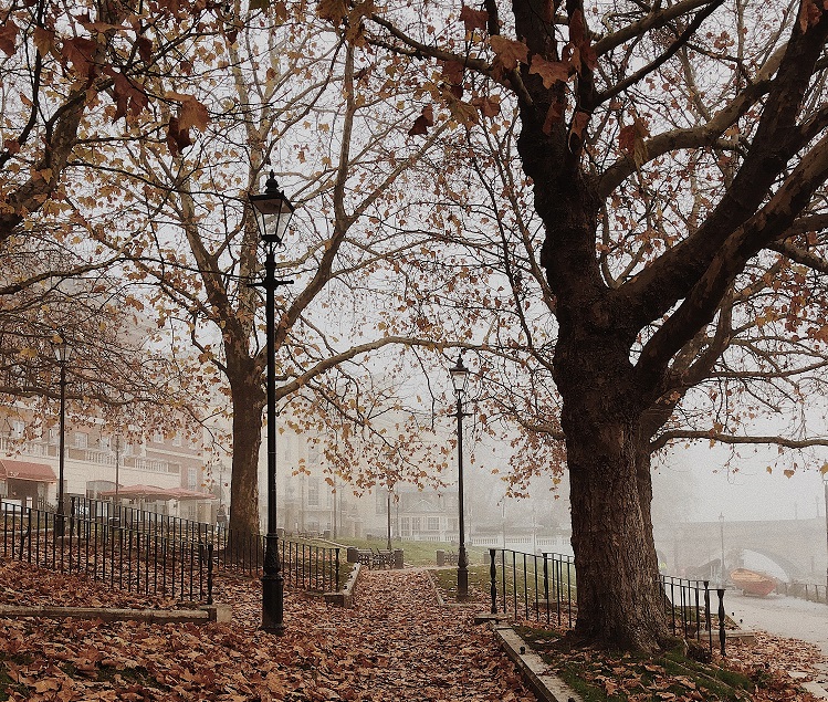 Ready to fall into Autumn? – Bagwhispers